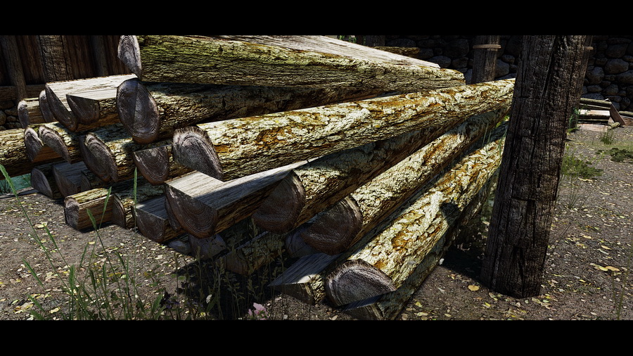 Tree Pine Forest Cut Logs and Stumps HD at Skyrim Special Edition Nexus ...