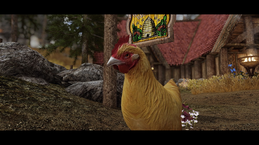 Chicken HD at Skyrim Nexus - mods and community